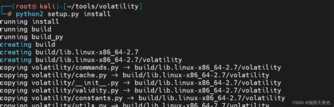 kali下安装volatility kali安装volatility csdn博客