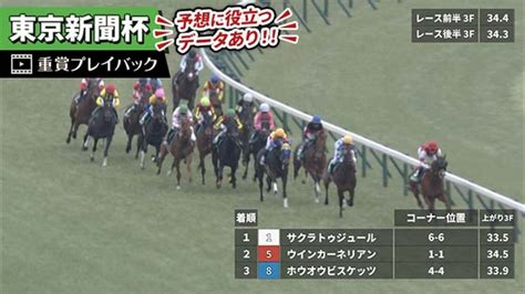 【東京新聞杯 2025】過去5年のレース映像・傾向 競馬予想動画 Netkeiba