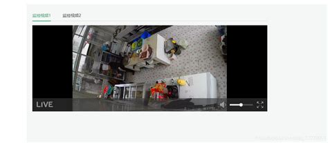 Vue中使用alipayer播放rtmpm3u8mp4视频 Vue Alipayer V2vue Aliplayer V2 Csdn博客