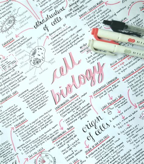 Countdown To Finals 57 Days 70916 Study Notes School