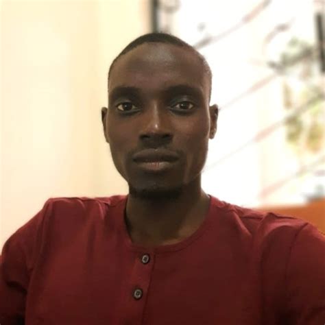 David Odie Software Developer Walimi Agro Limited Xing