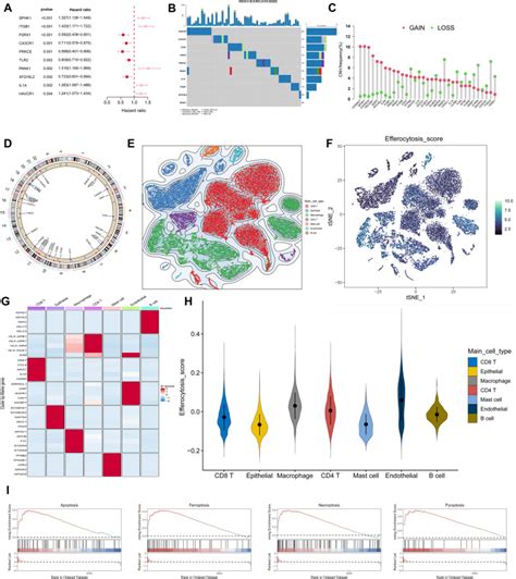 Integration Of The Bulk Transcriptome And Single Cell Transcriptome