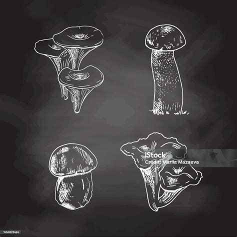 벡터 스케치 다른 버섯의 컬렉션입니다 검은색 칠판에 격리된 흰색 스케치 인쇄 웹 모바일 및 인포그래픽을 위한 스케치 그림