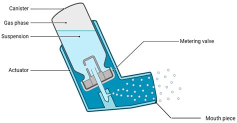 Inhalational Drug Devices Revisiting The Linchpin Of Asthma Management