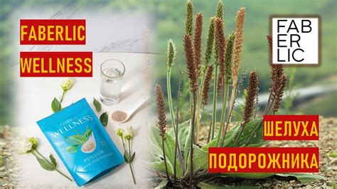 Псиллиум шелуха подорожника 15764 Faberlic Wellness | Семинар по ...