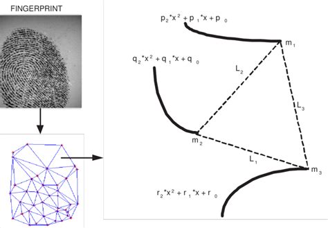 2 Feature Extraction From Triplet Arrangement Of Minutiae Points