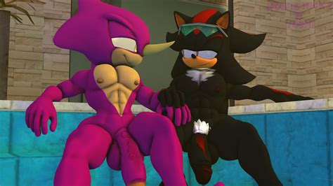 Post 7025088 Espio The Chameleon Homieyoshi Shadow The Hedgehog Sonic