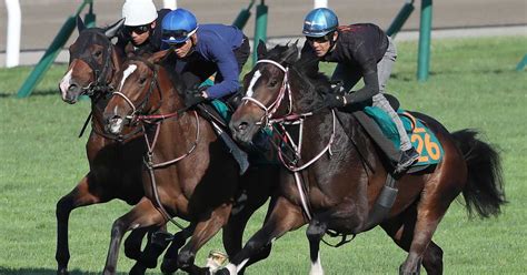 【今日の注目新馬】母が芝3勝のヴァレリア 調教本数少なめでも仕上がり早い サンスポzbat