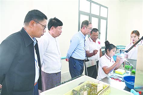 တနင်္သာရီတိုင်းဒေသကြီးအတွင်းရှိ ပုလဲမွေးမြူထုတ်လုပ်ရေးကျွန်းများကို ပြည်ထောင်စုဝန်ကြီး ဦးခင်မောင