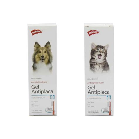 Clorhexidina Para Gatos Dosis Usos Efectos Secundarios Y OFF