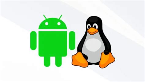 Linux爱好者与全栈开发者，编程语言，物联网，教程，技巧，aws，新技术，freax Myfreax