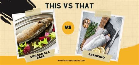 Chilean Sea Bass Vs Branzino Whats The Difference
