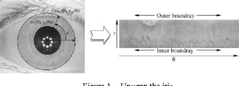 Figure 1 From Pso Rbfnn Based Optimized Pnn Classifier Model Semantic Scholar