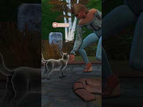 Las mascotas permitidas en Los Sims una guía informativa Xfragil