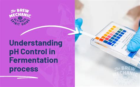 How To Restart A Stuck Fermentation