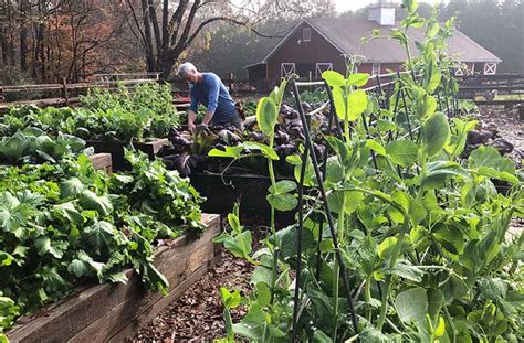 Encore Podcast Organized Garden Tips Best Apps Joe Gardener®