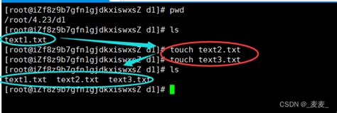 【linux】——常见指令（上） linux连同父目录一起 csdn博客