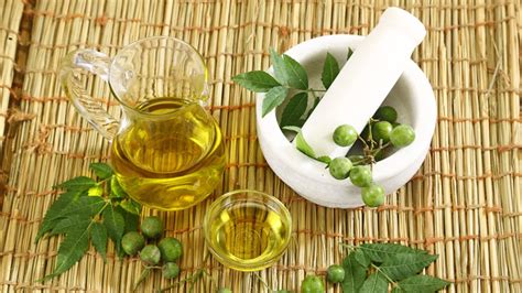 5 Home Remedies For Scabies Page 2 Entirely Health