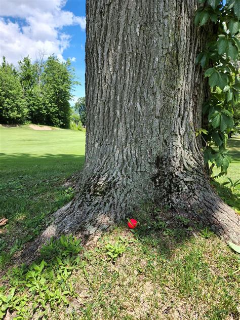 Mama Told Me Thered Be Days Like This Ever Have A Day When You Try Your Best And It Just Doesn