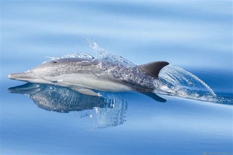 世界海洋日 保护海洋生物多样性 人与自然和谐共生 拾起卖