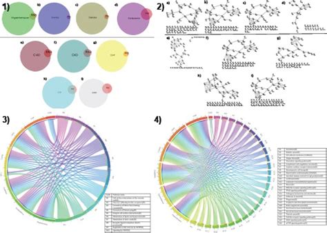 A Network Biology Informed Computational Drug Repositioning Strategy To Target Disease Risk