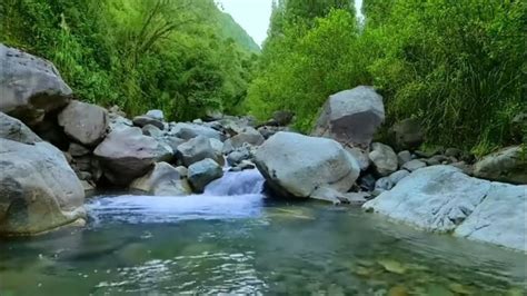 A Stream Running Through A Lush Green Forest Filled With Lots Of Rocks
