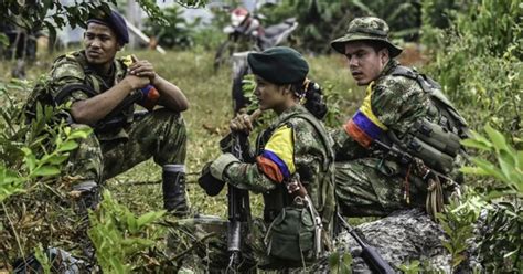 Cuatro Disidentes De Las Farc Fueron Abatidos Por El Ejército En El
