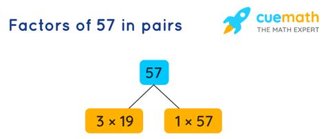 Factors Of 57 Find Prime Factorizationfactors Of 57