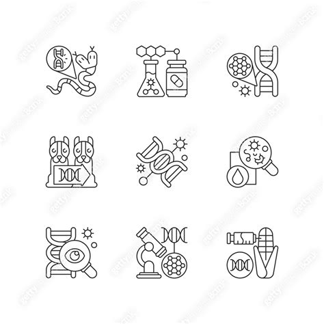 Dna Structure Experiment Linear Icons Set 이미지 1297173167 일러스트 무료