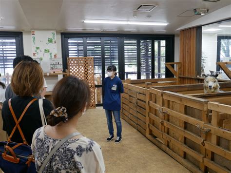 【大阪eco】夏休みの体験入学！ Eco日和｜動物 専門学校 大阪eco動物海洋専門学校 大阪エコ