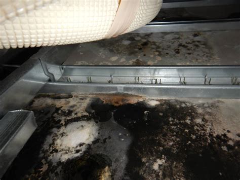 埼玉東京天カセエアコン冷媒管結露カビを止めるには ブログ 埼玉の防カビ工事なら有限会社プレモ