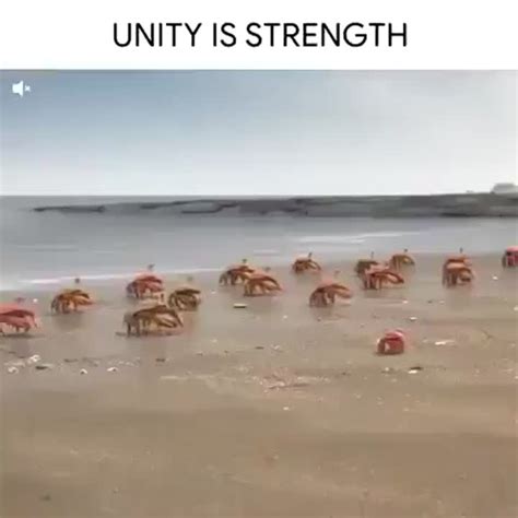 Bhupinderjit Singh On Linkedin Unity Strength Unity3d