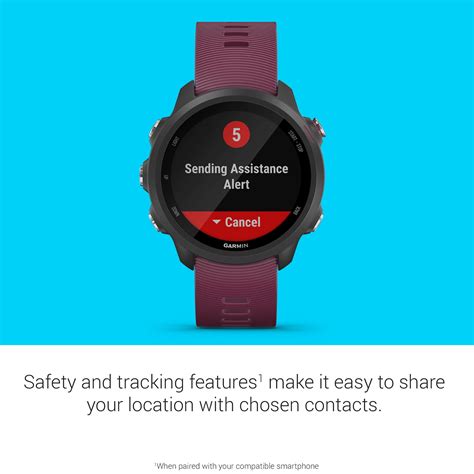 Garmin Forerunner 245 Gps Running Smartwatch