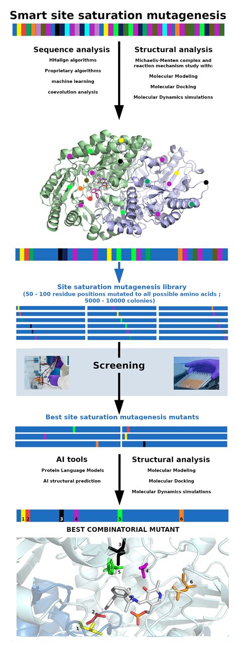 Smart Site Saturation Mutagenesis Almac