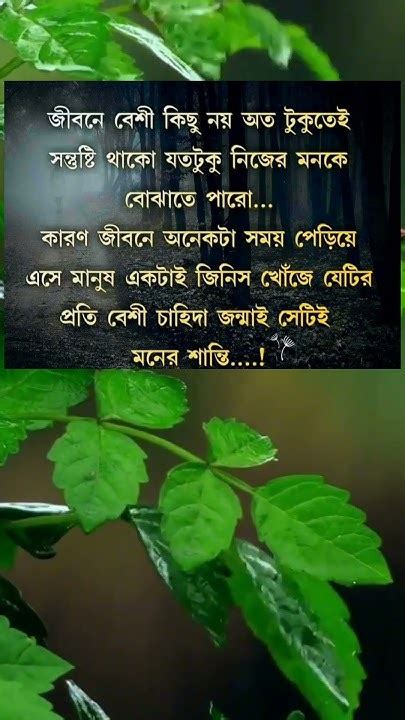 জীবনে সন্তুষ্টি Shorts Shortfeed Youtube