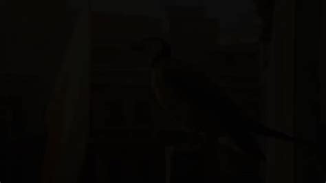 Muhammad Ehsan On Linkedin Technology Automotive Innovation Tech