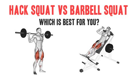 Hack Squat Vs Barbell Squat Which Is Best For You