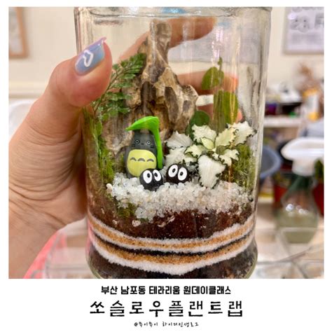 부산 테라리움클래스 남포동원데이 공방데이트추천 쏘슬로우플랜트랩 네이버 블로그
