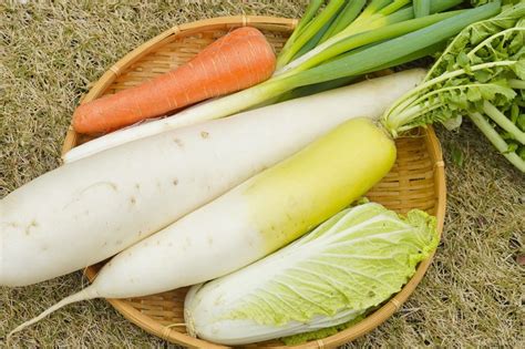 レタスハクサイキャベツたくさん買った冬野菜の上手な保存方法は オトナンサー