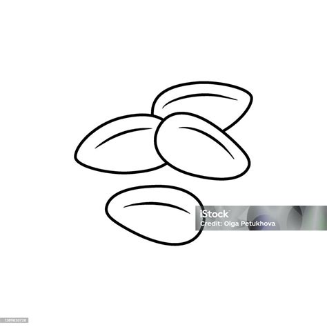 삼나무 너트 실루엣 배지 제품 응용 프로그램 인쇄의 웹 사이트 디자인을 위해 흰색 배경에서 격리된 벡터 선형 그림 개념에 대한 스톡 벡터 아트 및 기타 이미지 Istock