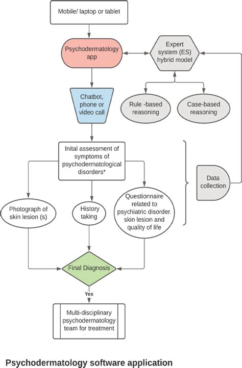 Psychodermatology Software Application Download Scientific Diagram