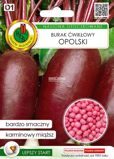 Burak Ćwikłowy Opolski 100 nasion nasiona otoczkowane Nasiona