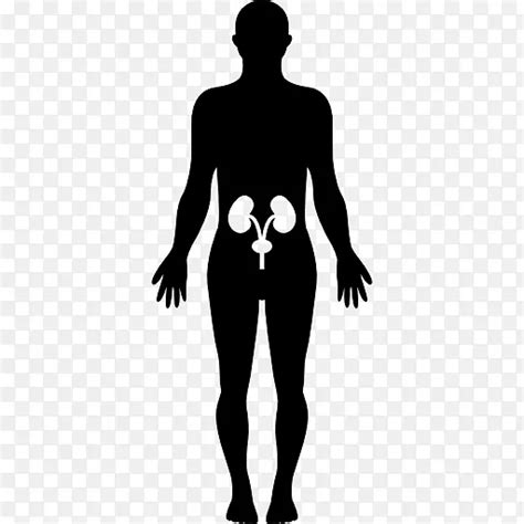 Png Png