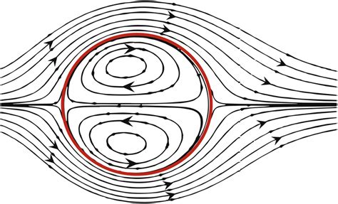 internal circulation in the form of counter rotating vortices the red