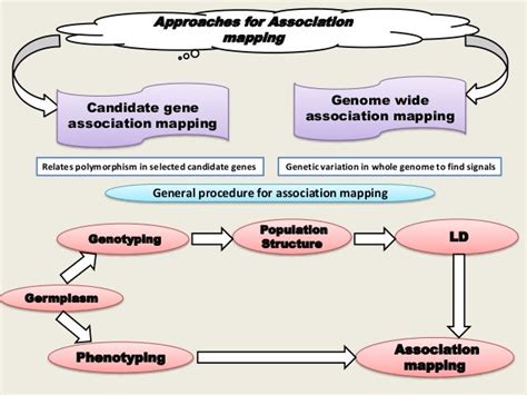 Association Mapping In Plants Association Mapping In Plants