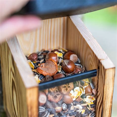 Squirrel Feeder For Easy Squirrel Feeding Cj Wildlife