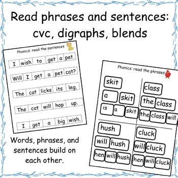 Reading Intervention Bundle Cvc Digraphs Blends Word Reading TPT