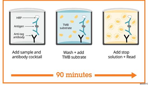 人hgf Elisa试剂盒 Hepatocyte Growth Factor Ab275901 Abcam中文官网