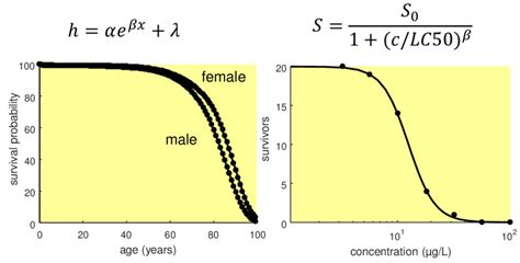 1 Two Examples Of Descriptive Survival Functions Left Survival