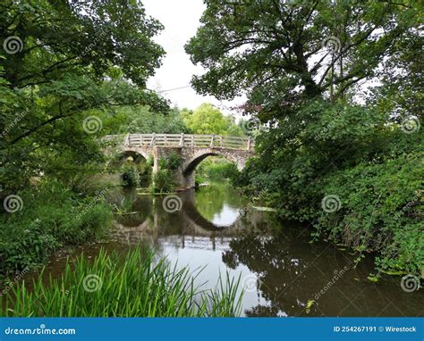 Beautiful Small Bridge In The Woods On A Dirty Lake With Green Trees